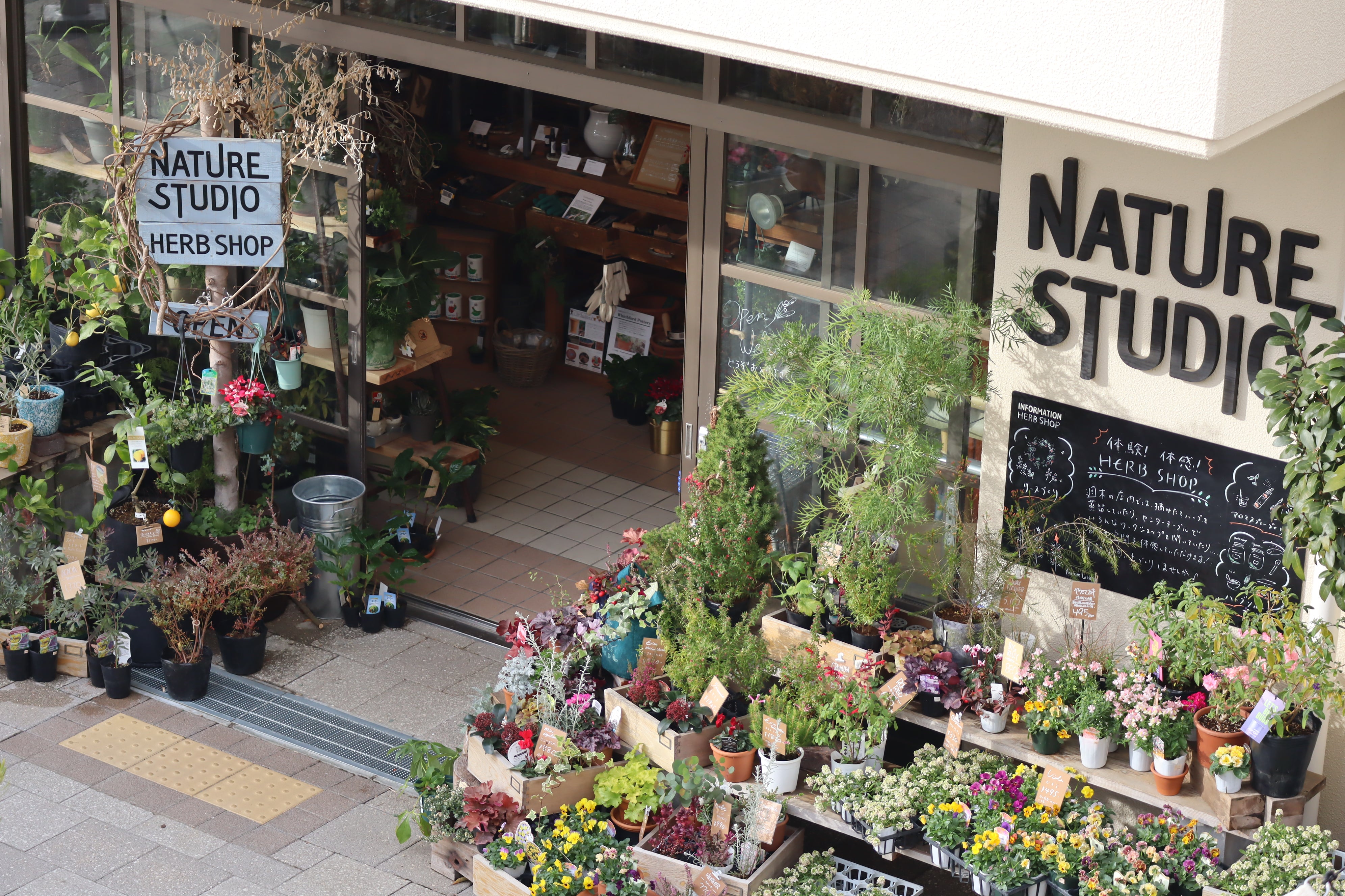 【HERB SHOP】オンラインショップ オープン！ – NATURE STUDIO